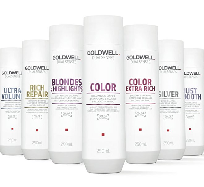 DUALSENSES | KAMER88
